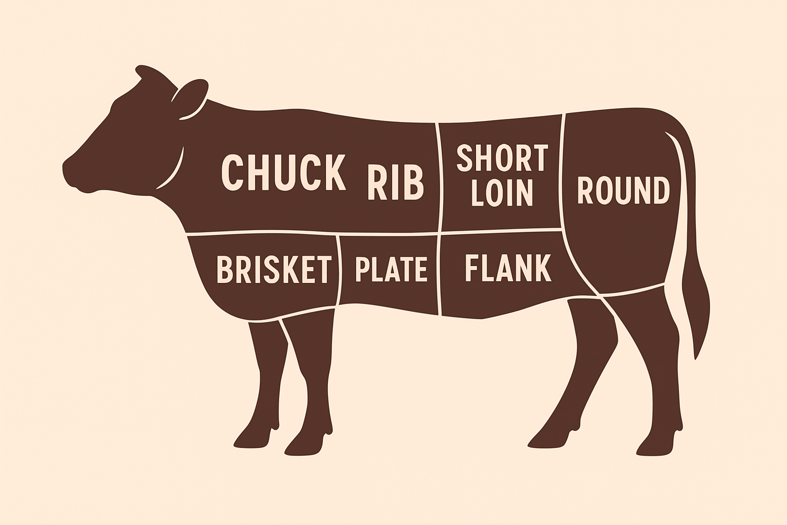 Beef Processing – J and R Meats