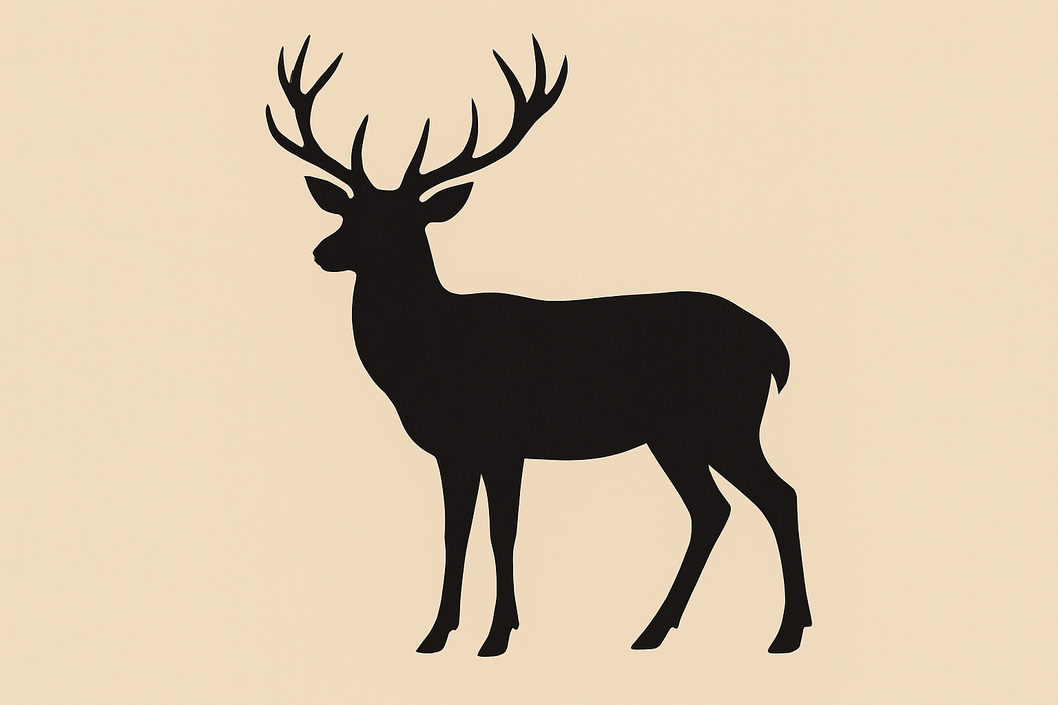 Deer Processing – J and R Meats